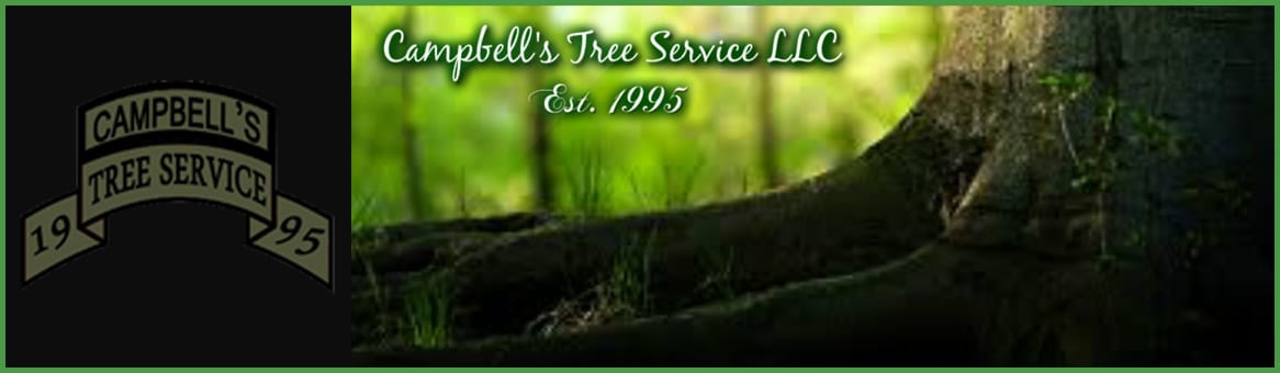 Campbells Tree Service offers Tree Service in Jefferson, GA