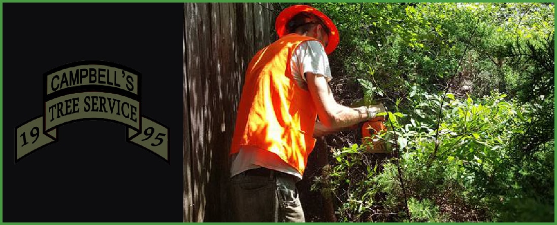Campbells Tree Service offers Tree Service in Jefferson, GA