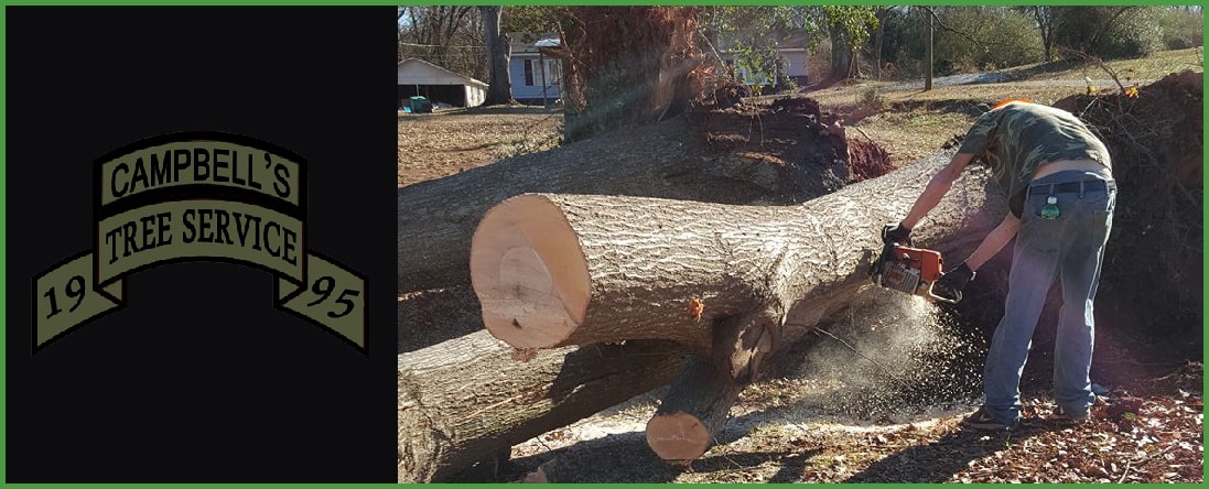 Campbells Tree Service offers Tree Service in Jefferson, GA
